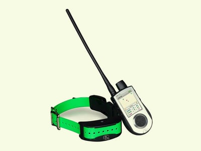 A caccia con il beeper per cani da ferma: ecco cosa c'è da sapere