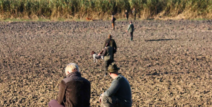 Come cacciare la lepre con i segugi