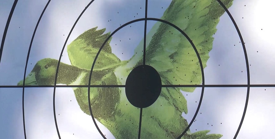 How to pattern a shotgun and become a pattern master!