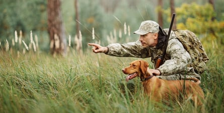 Cani da caccia: razze, caratteristiche e utili consigli per sceglierli