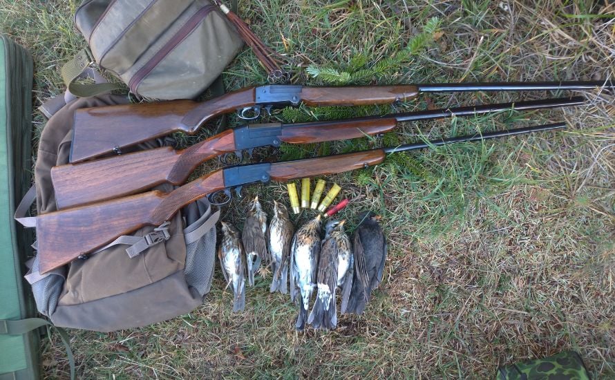 Caccia al capanno 2022: tordi, cesene e le cartucce B&P in calibro 36