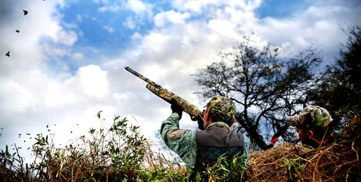 How to pattern a shotgun and become a pattern master!