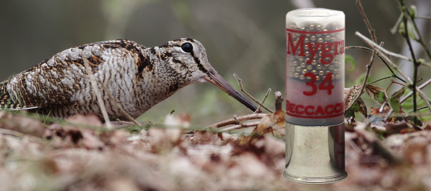 Le migliori cartucce per la caccia alla beccaccia