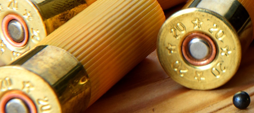 Manuale per ricaricare cartucce da caccia a pallini